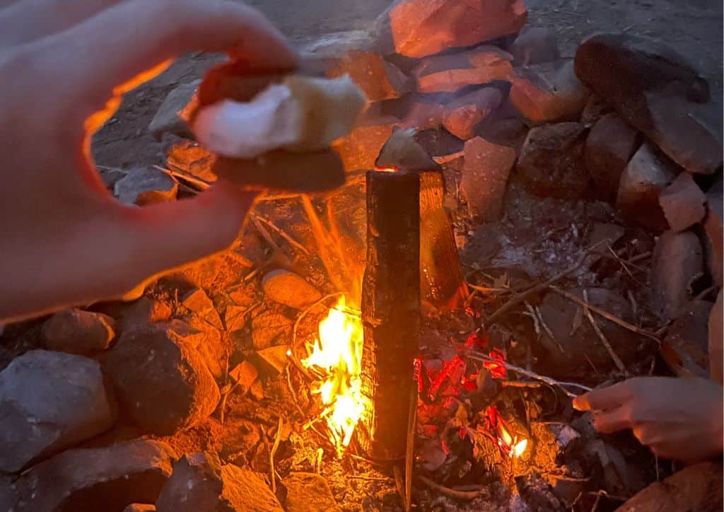 11 Best Campgrounds in Southern Minnesota for Summer Fun (2023)